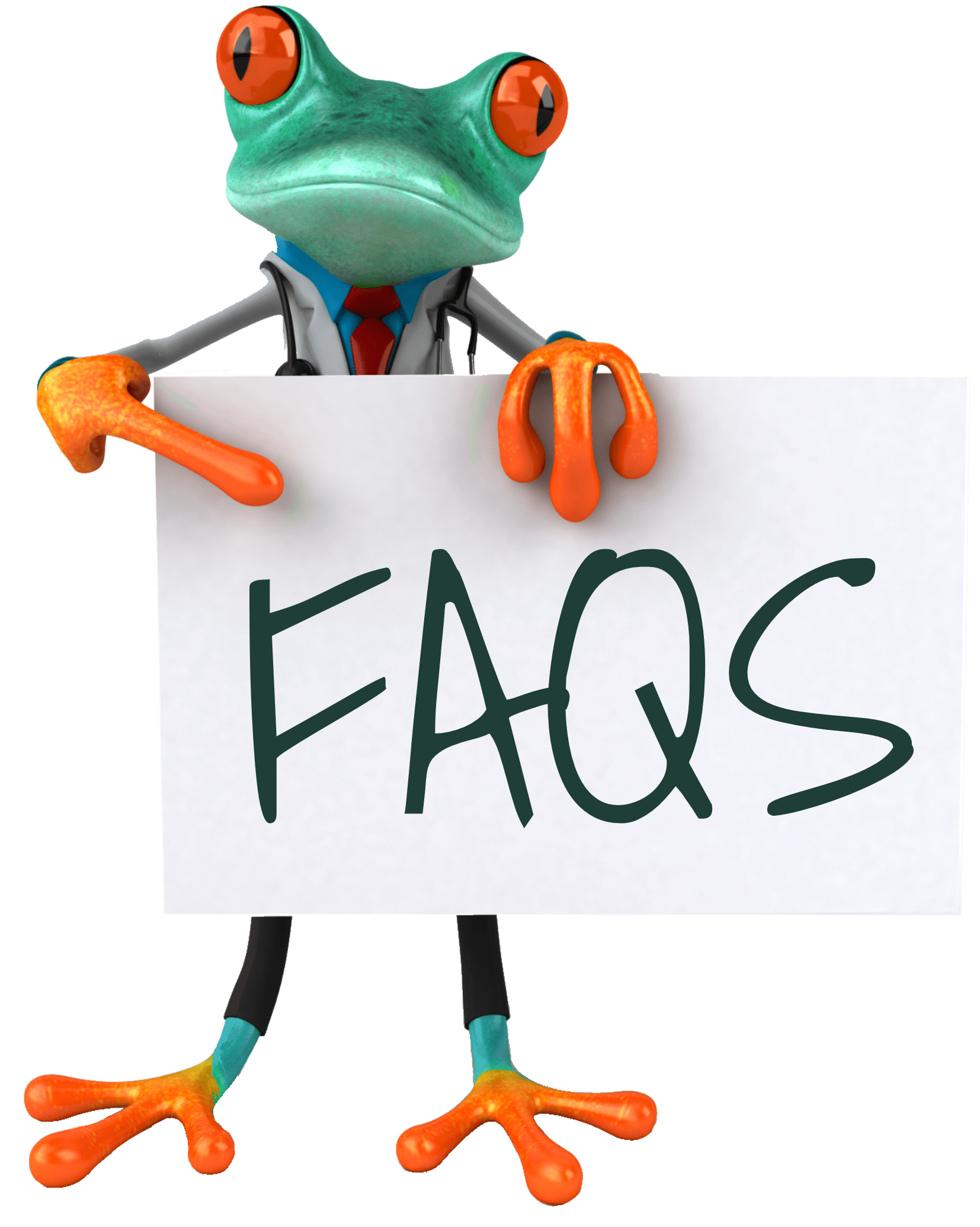 SEO Questions – Gonzo Systems